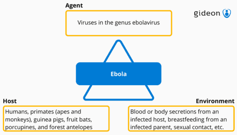 Epidemiological Triad | GIDEON
