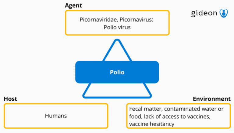 Epidemiological Triad | GIDEON