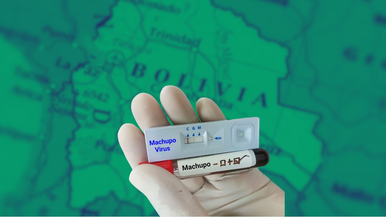 Machupo virus: What is Bolivian hemorrhagic fever?