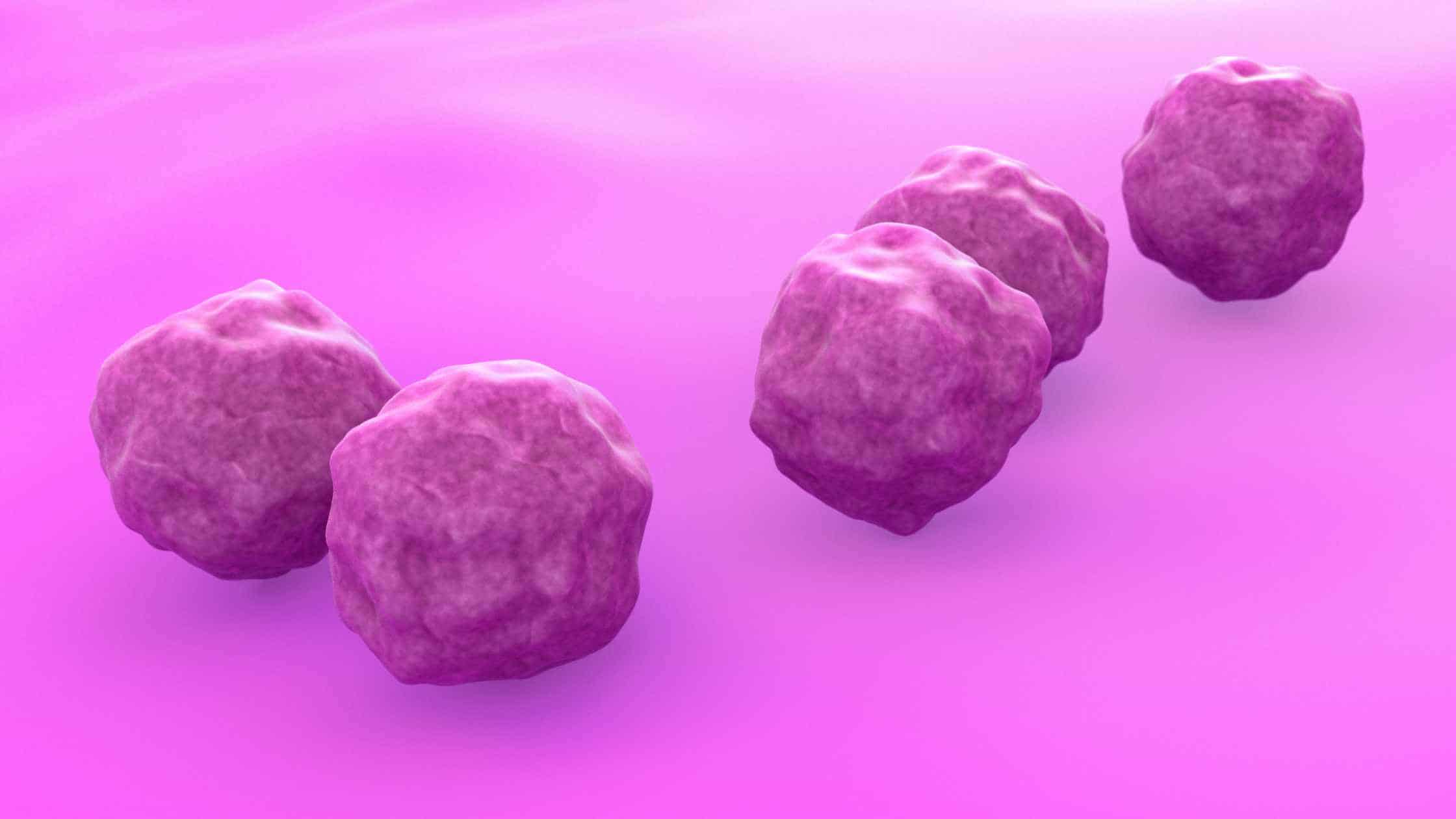 Chlamydia Basics: History, Symptoms, Diagnosis, Treatment, and Prevention