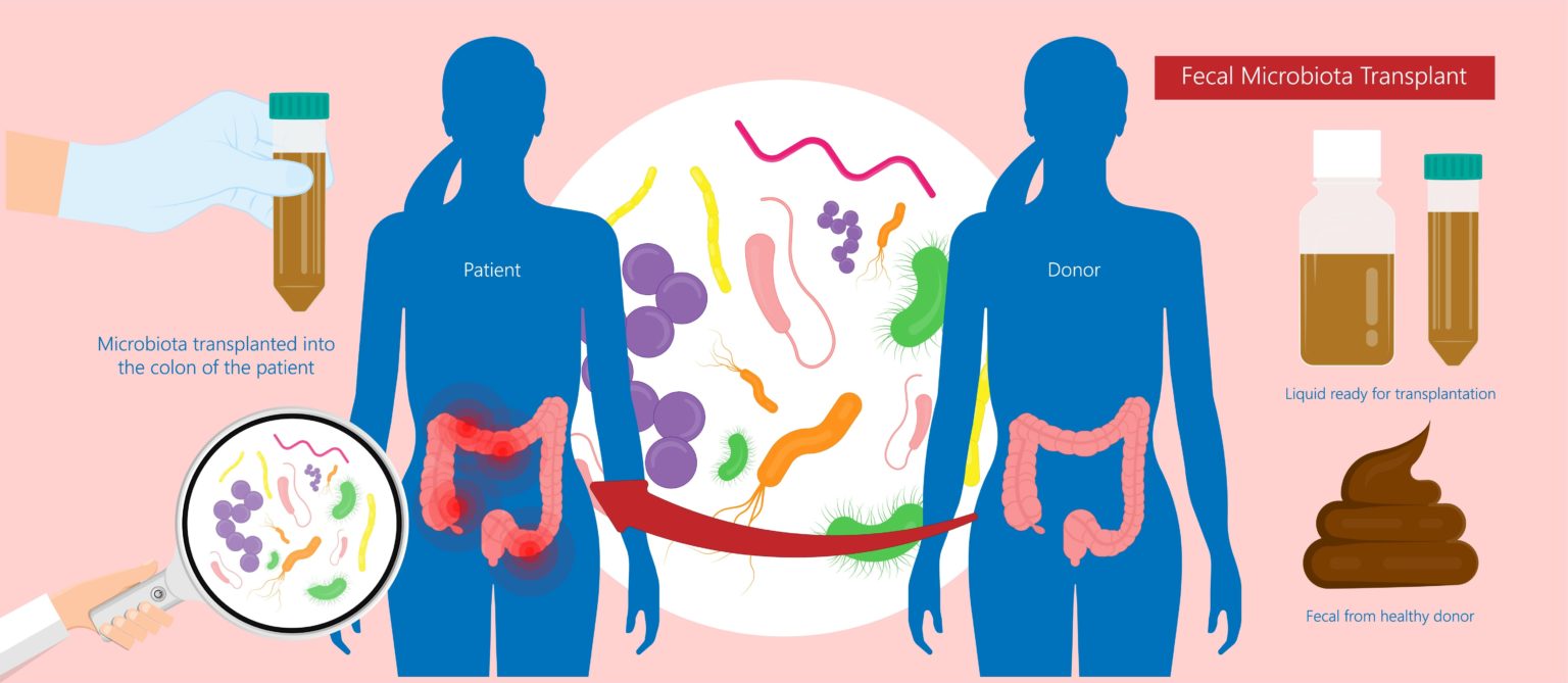 The Gut Microbiome And Its Role In Health And Disease Gideon Global Infectious Diseases And