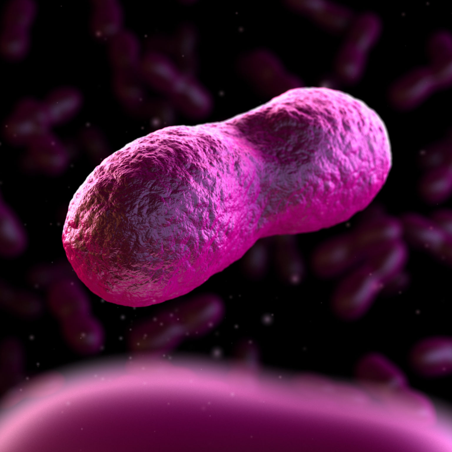 Pathogen of the Month: Yersinia Pestis - GIDEON - Global Infectious ...